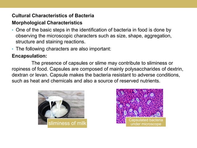 MICROBIOLOGY QUICK LEARN Food Microbiology BACTERIA- Cultural ...