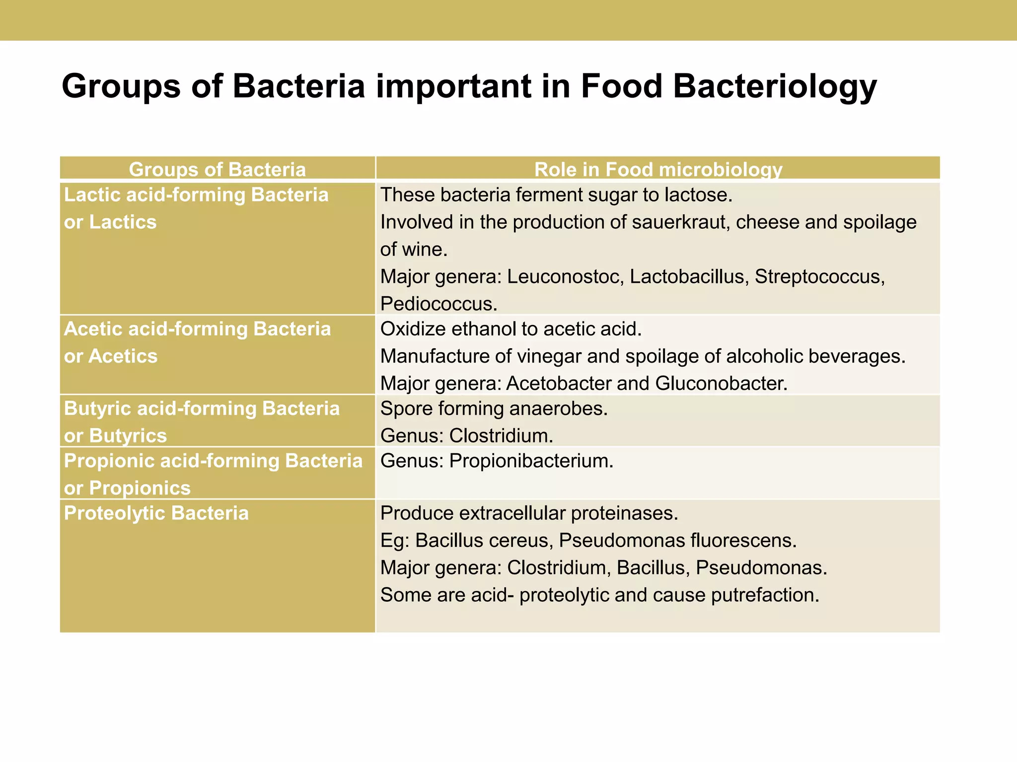 Groups of Bacteria important in Food Bacteriology | PDF