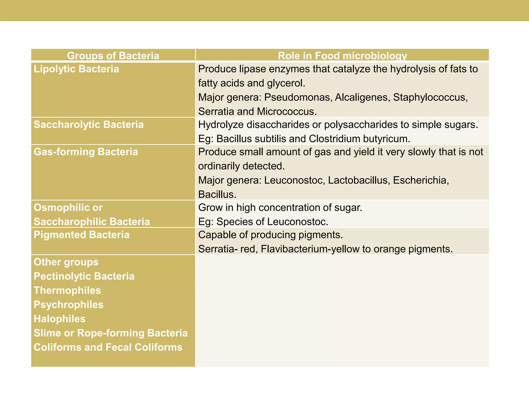 Groups of Bacteria important in Food Bacteriology | PDF
