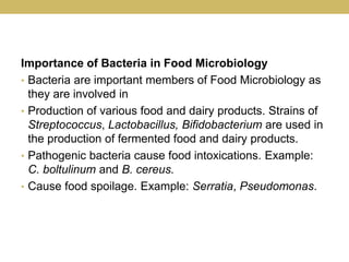 Groups of Bacteria important in Food Bacteriology | PDF