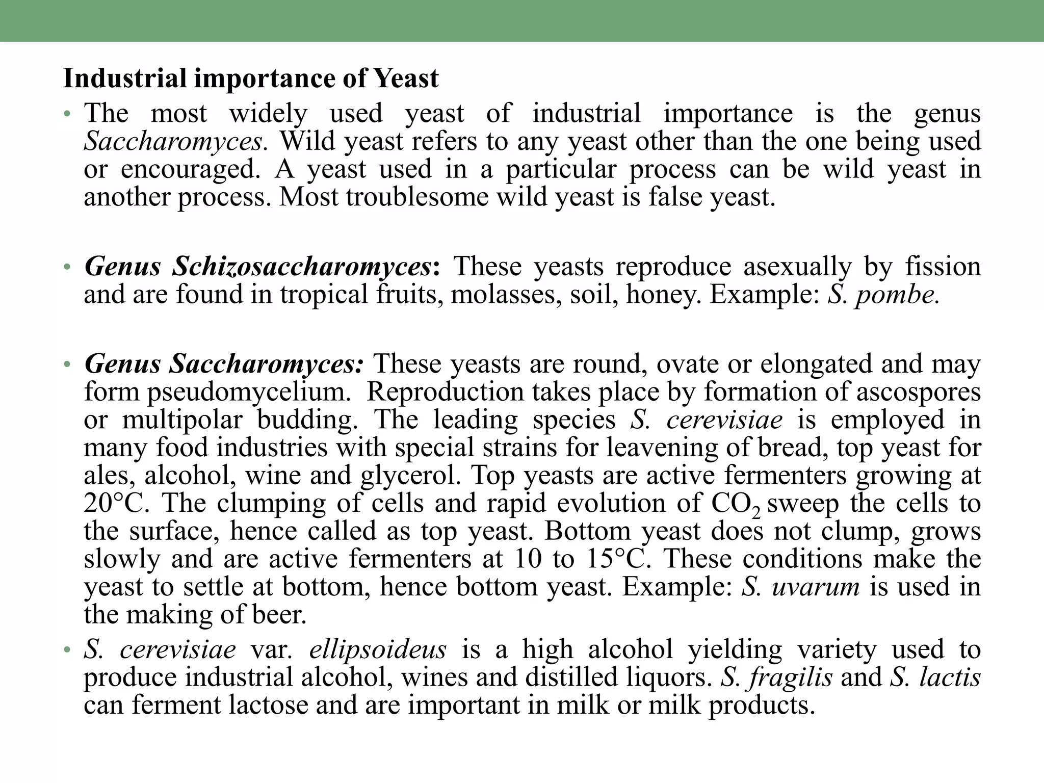 Food Microbiology- Industrial importance of Yeast | PDF