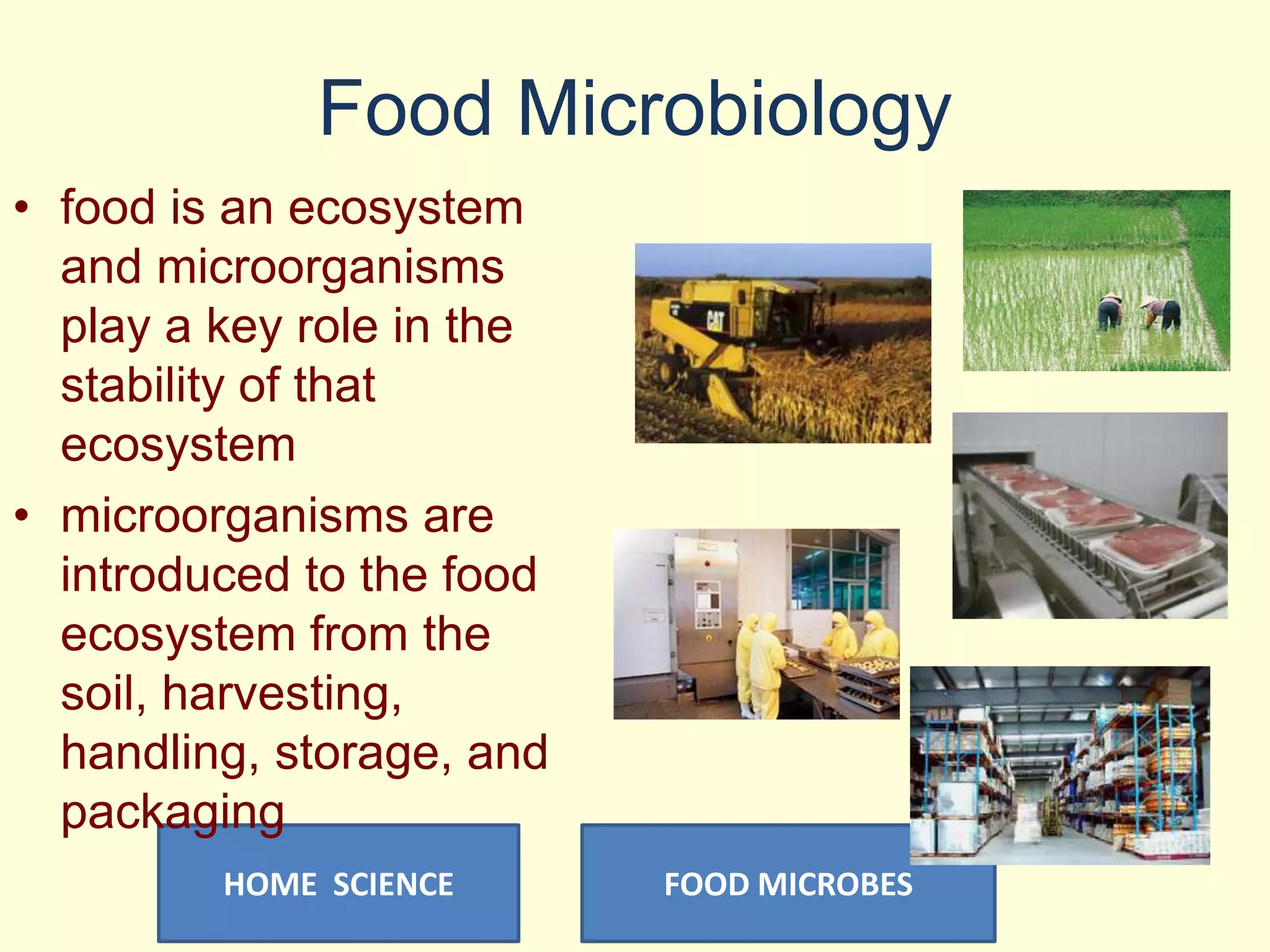 Food microbes | PPTX