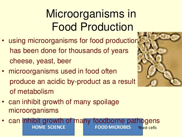 Food microbes
