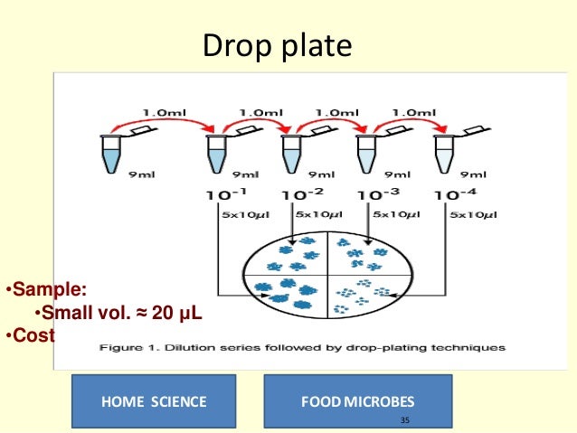 Food microbes