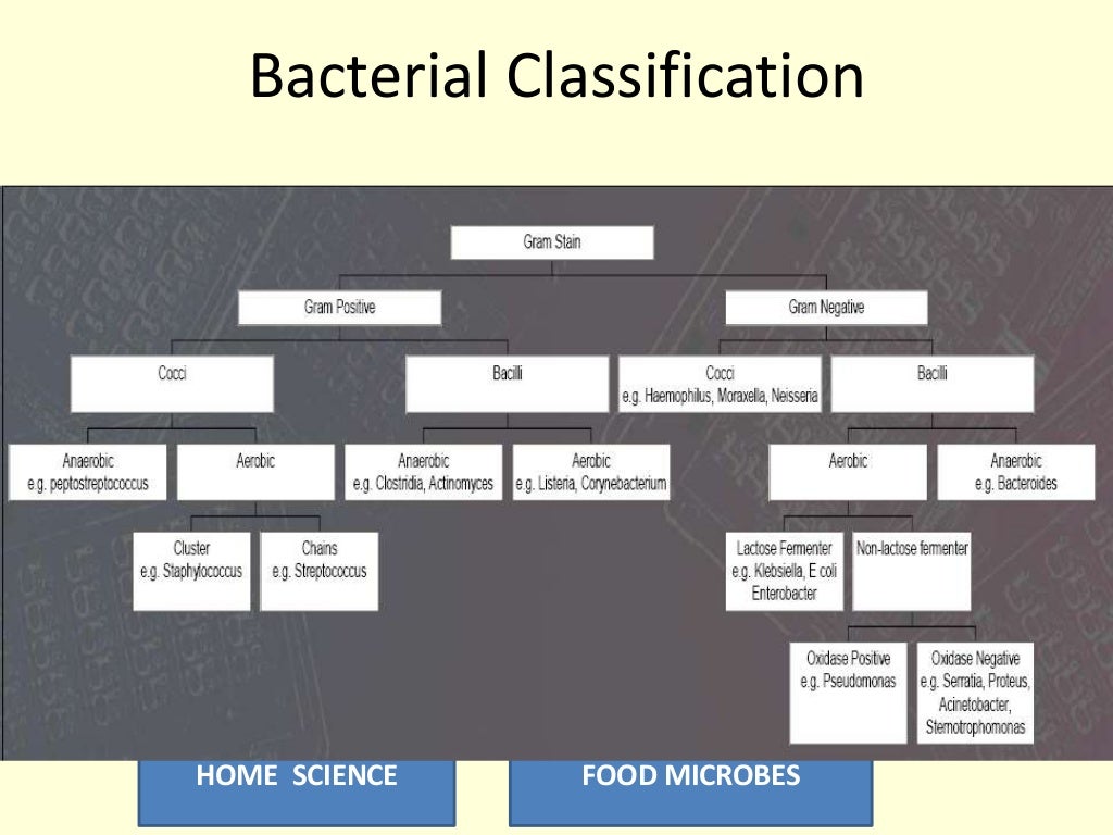 Food microbes