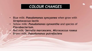 Milk And Milk Products | PPTX