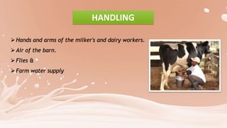 Milk And Milk Products | PPTX