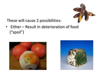 Food microbiology | PPTX