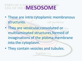 Food microbiology | PPT