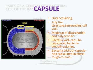 Food microbiology | PPT