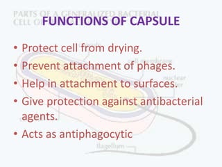 Food microbiology | PPT