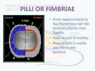 Food microbiology | PPT