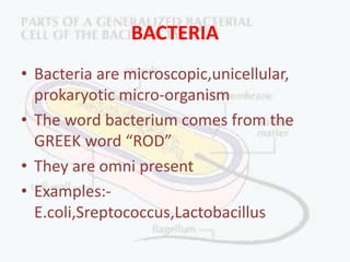 Food microbiology | PPT