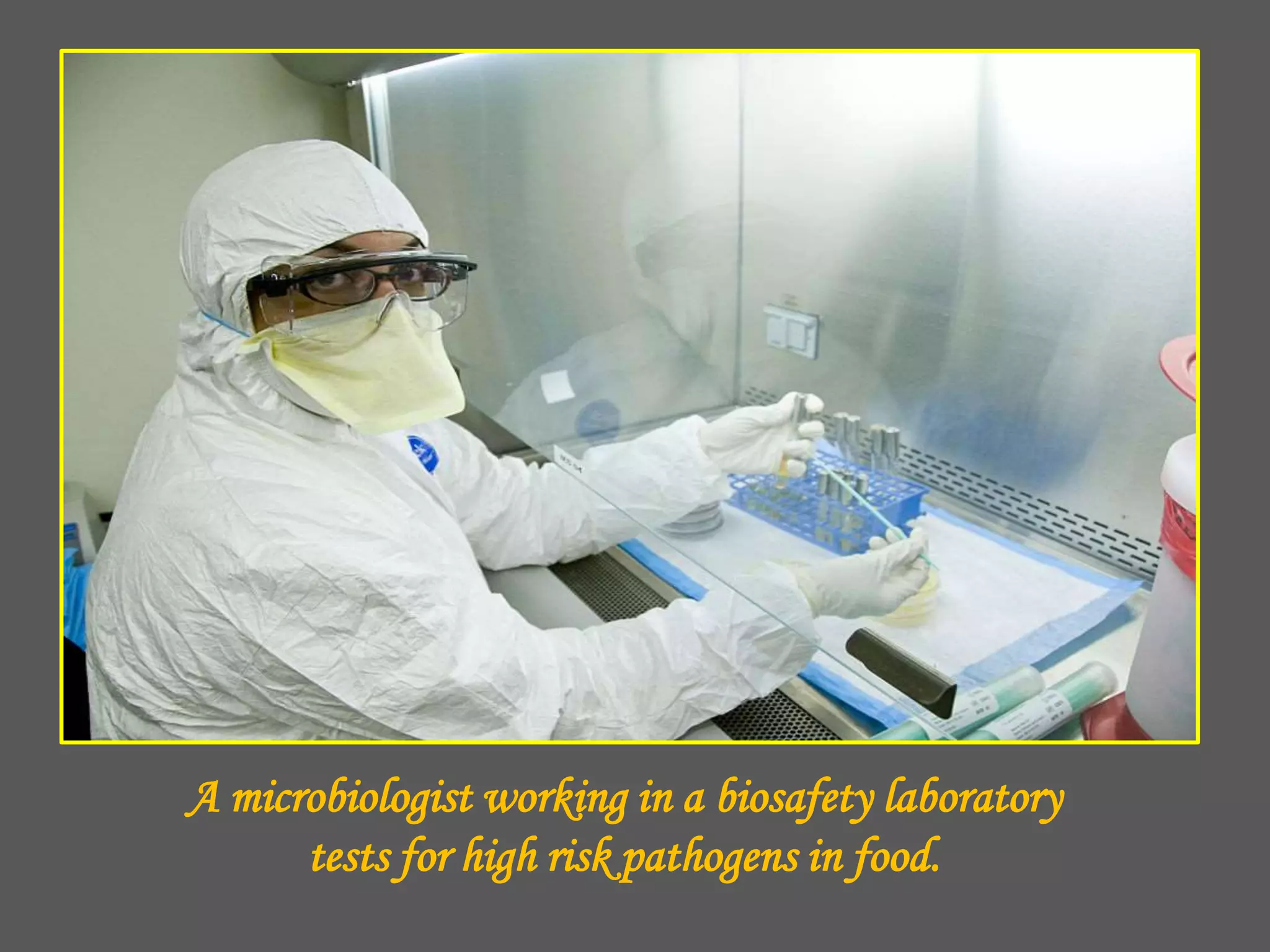 Food microbiology | PPT