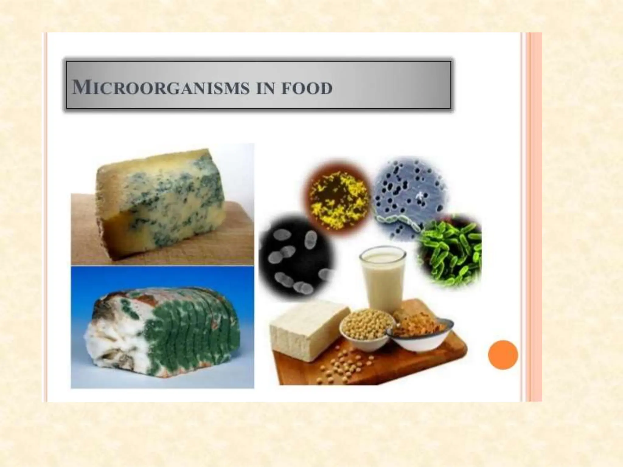 FOOD MICROBIOLOGY.pptx