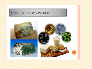 FOOD MICROBIOLOGY.pptx