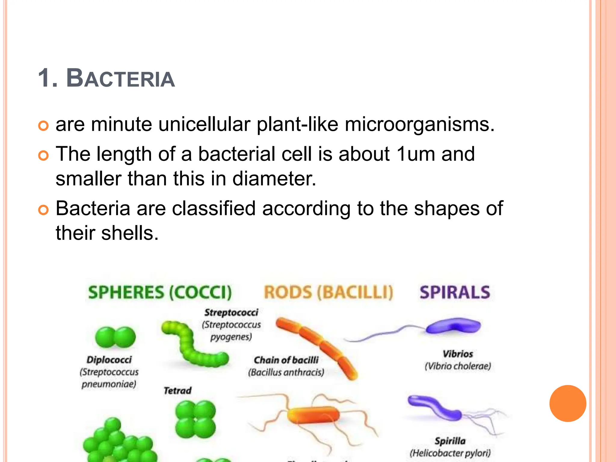 FOOD MICROBIOLOGY.pptx