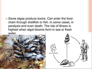 FOOD MICROBIOLOGY.pptx