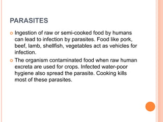 FOOD MICROBIOLOGY.pptx