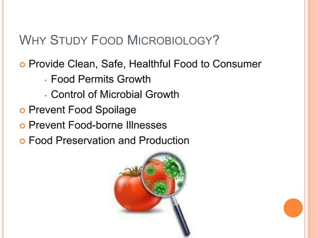 FOOD MICROBIOLOGY.pptx