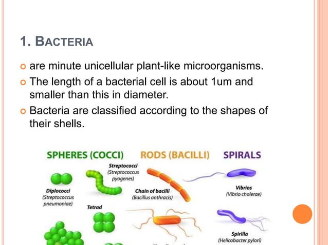 FOOD MICROBIOLOGY.pptx