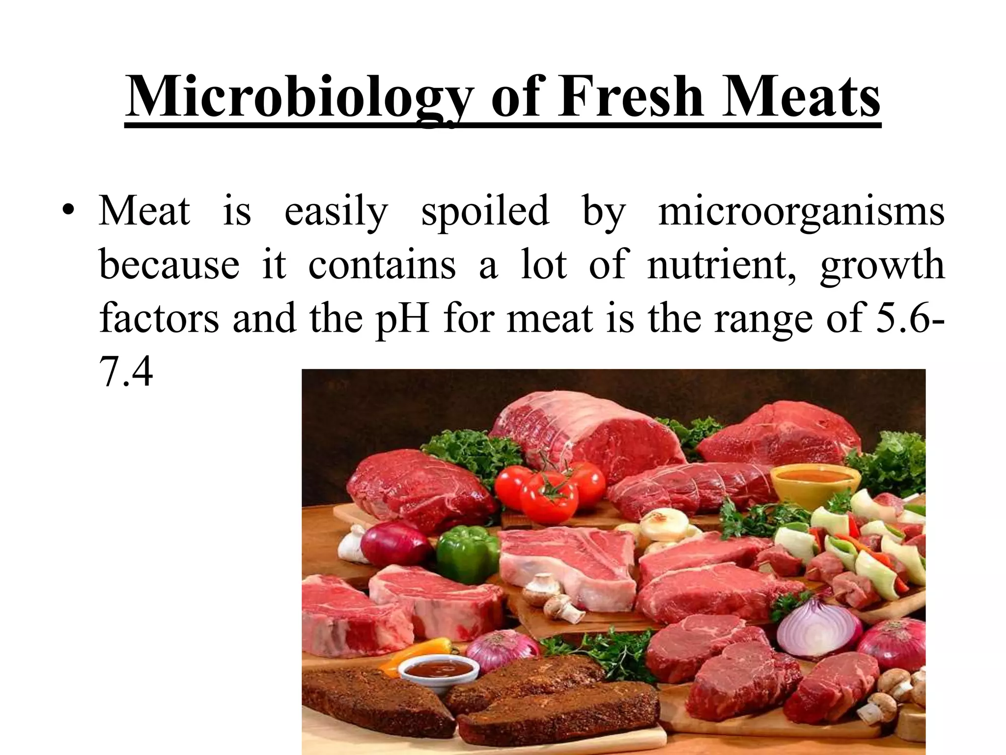 Microbiology of meat | PPTX