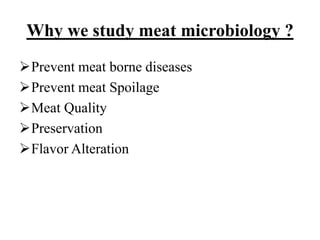 Microbiology of meat | PPTX