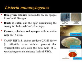 Food Microbiology and Food Contamination.pptx