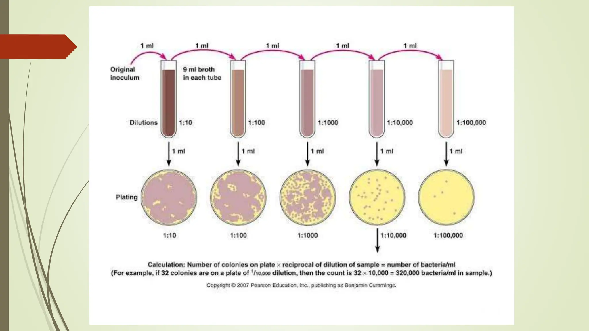 INDICATOR MICROORGANISMS in food microbi | PPTX