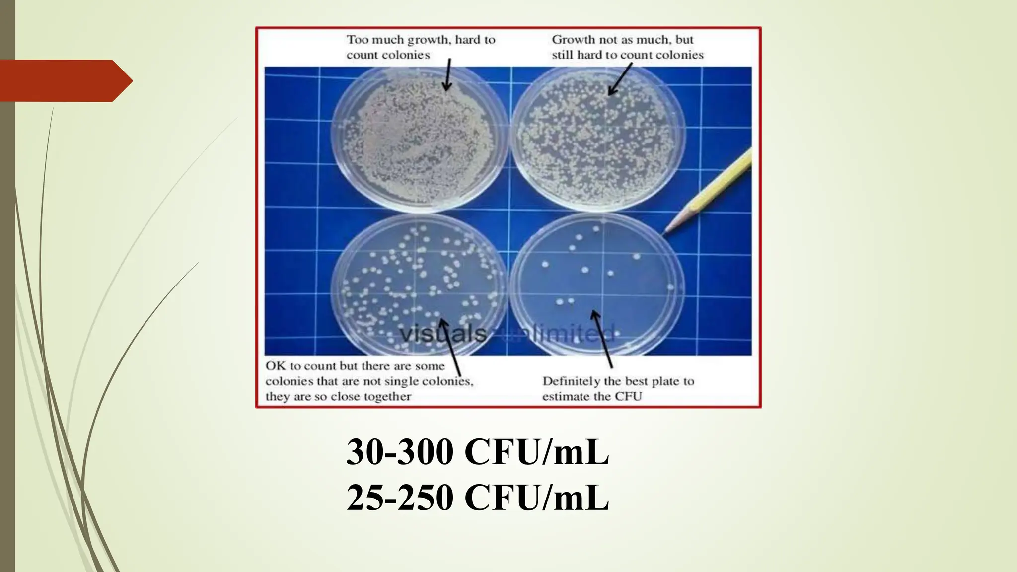 INDICATOR MICROORGANISMS in food microbi | PPTX