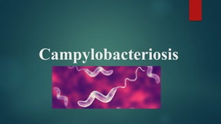 Food Microbiology lect on Campylobacter | PPTX