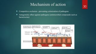 Food Microbiology lect on Campylobacter | PPTX