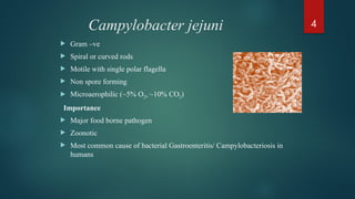 Food Microbiology lect on Campylobacter | PPTX