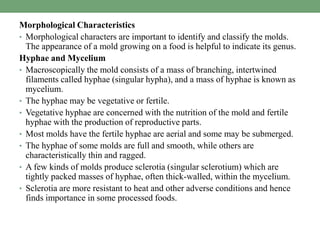 Food microbiology - mold: morphological, cultural, physiological ...