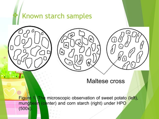 Food microscopy in food analysis | PPT | Chemistry | Science