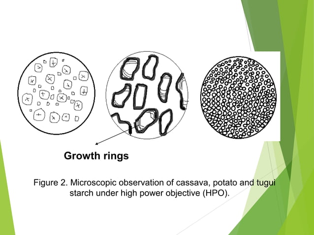 Food microscopy in food analysis | PPT | Chemistry | Science