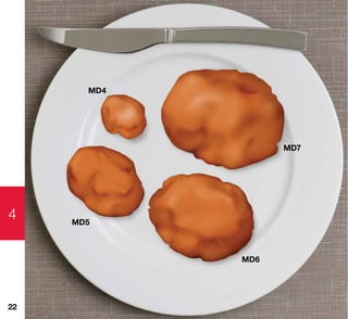 FOOD MODEL BOOKLET.pdf | Desserts and Baking | Food & Drink