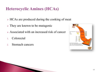 Food Mutagens (Exploring Food Mutagens: Understanding Their Impact on ...