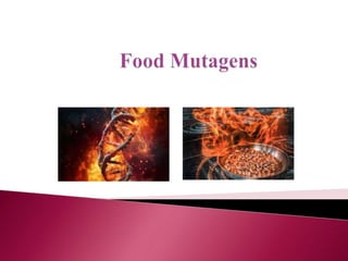 Food Mutagens (Exploring Food Mutagens: Understanding Their Impact on ...