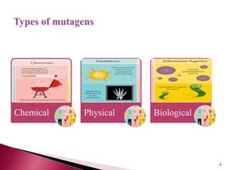 Food Mutagens (Exploring Food Mutagens: Understanding Their Impact on ...