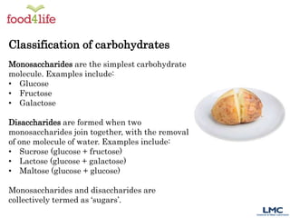 Maltose Food Examples
