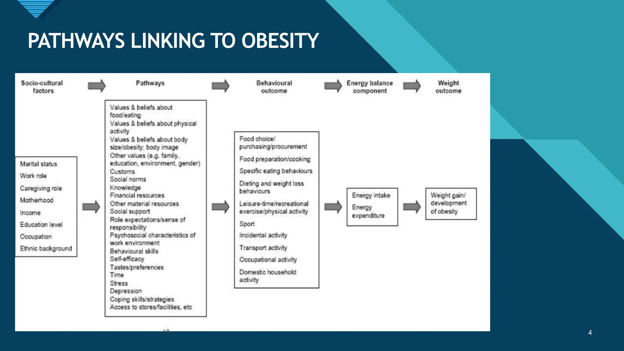 FOOD OBESITY IN NORTH AMERICA ( NEW).pptx