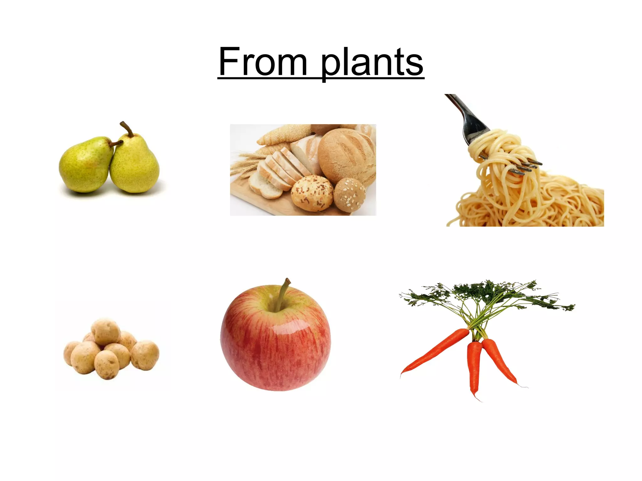 Food origin | PPT