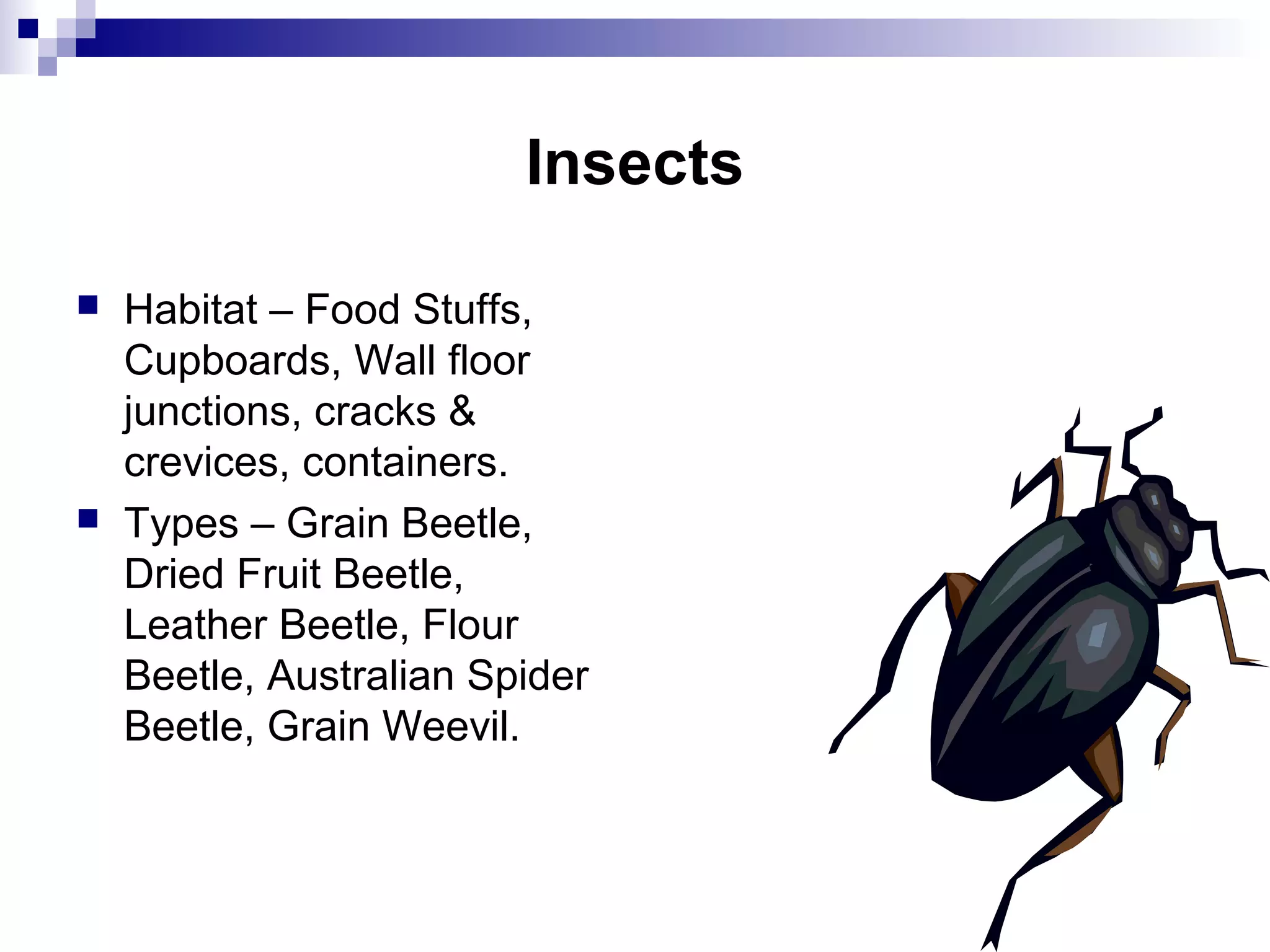 Common Food Pests and Their Control | PPT