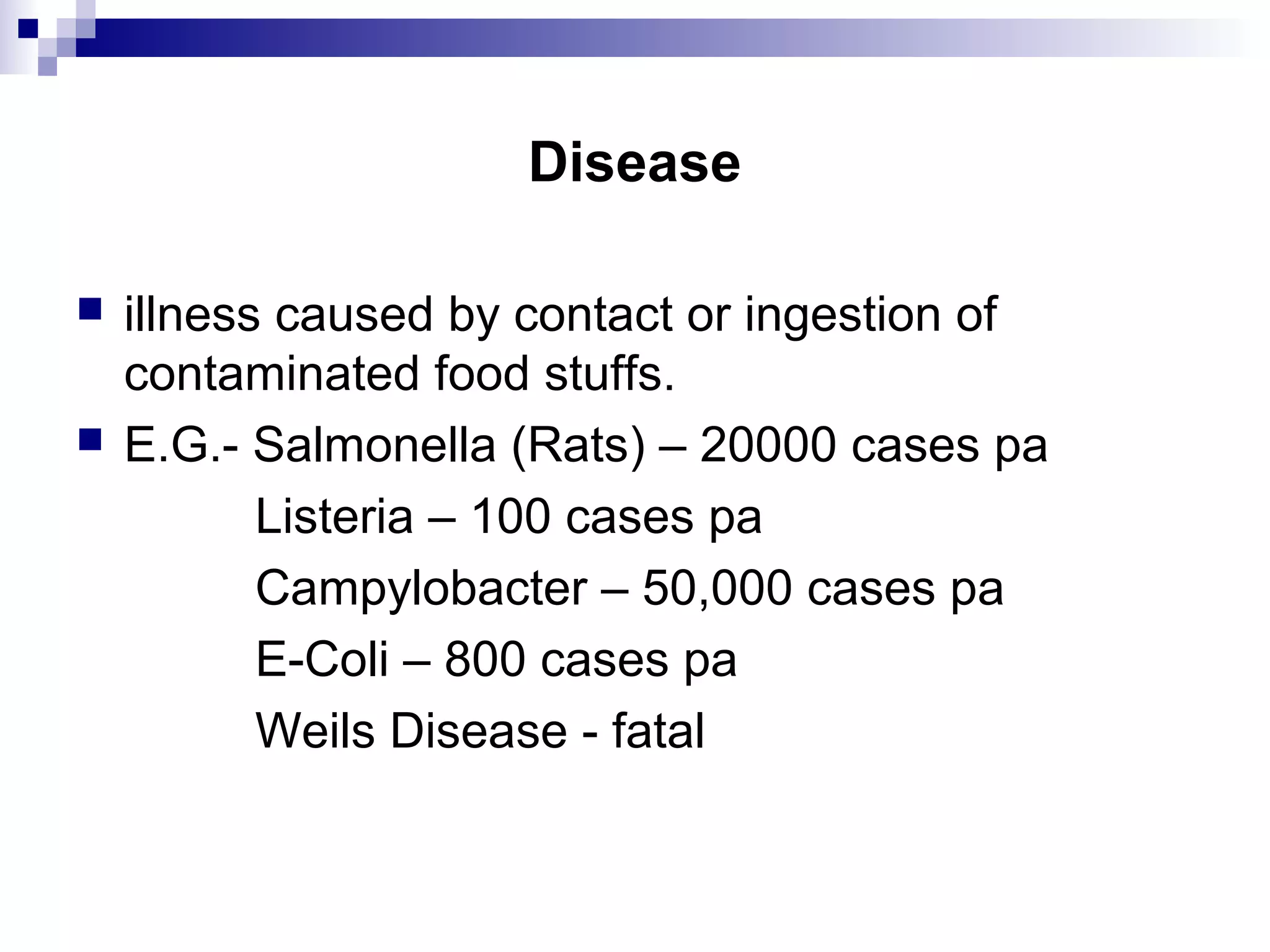 Common Food Pests and Their Control | PPT