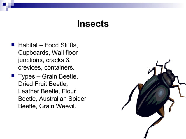 Common Food Pests and Their Control | PPT | Infectious Diseases ...