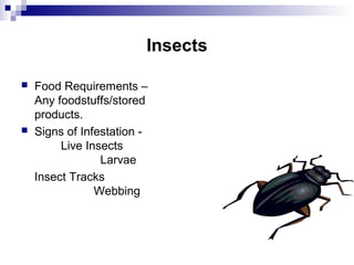 Common Food Pests and Their Control | PPT
