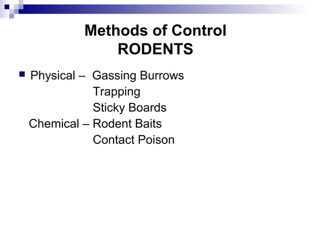 Common Food Pests and Their Control | PPT | Infectious Diseases ...