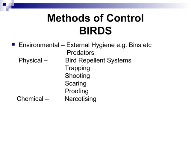 Common Food Pests and Their Control | PPT | Infectious Diseases ...