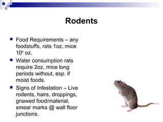 Common Food Pests and Their Control | PPT